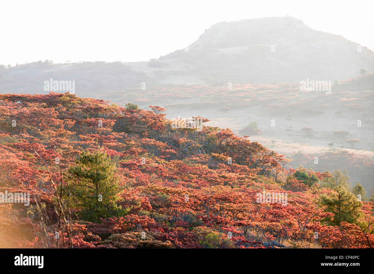 Stunning landscape from Nyanga in Zimbabwe's Eastern Highlands Stock ...