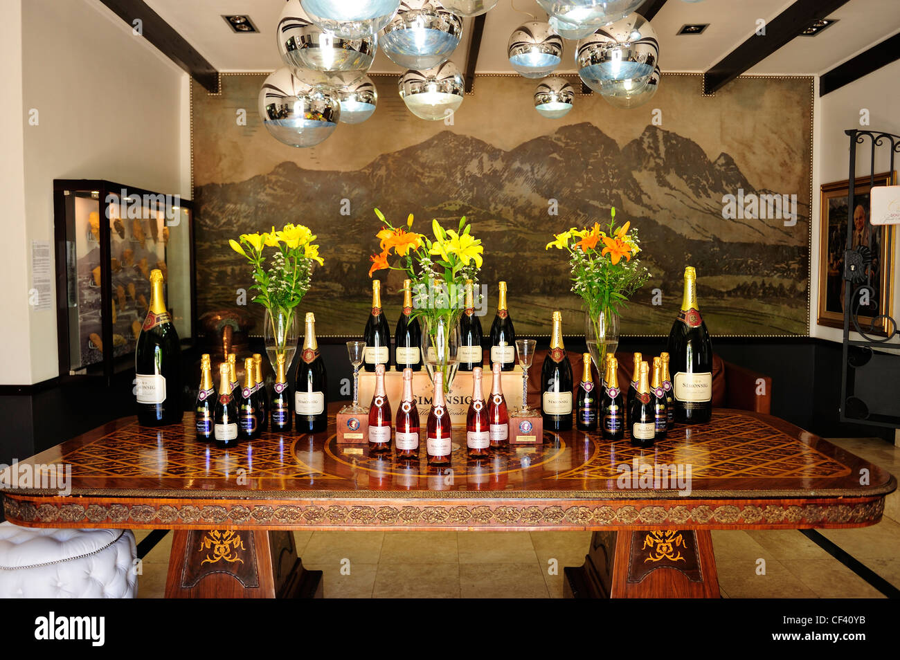 Simonsig Wine Estate, Stellenbosch, Western Cape, South Africa Stock ...