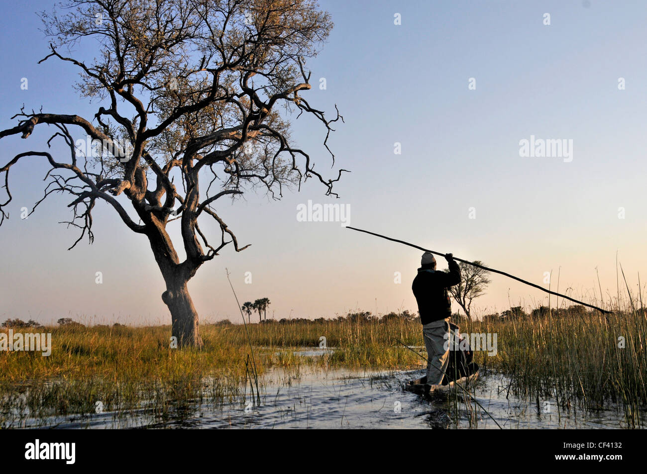 Poler sailing makoro on the Okavango Delta in Africa Stock Photo - Alamy