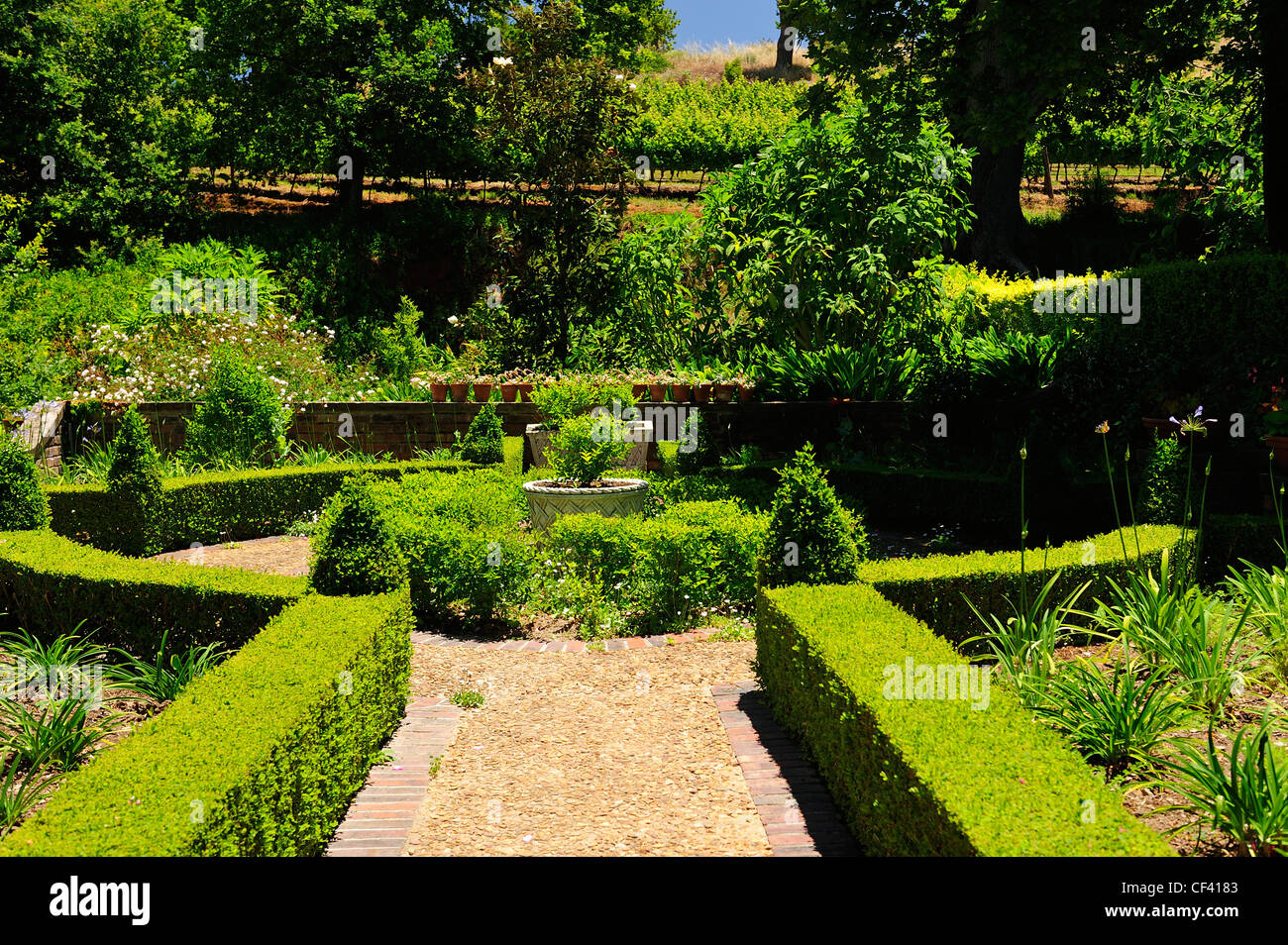 Rustenberg Wine Estate, Stellenbosch, Western Cape, South Africa Stock ...