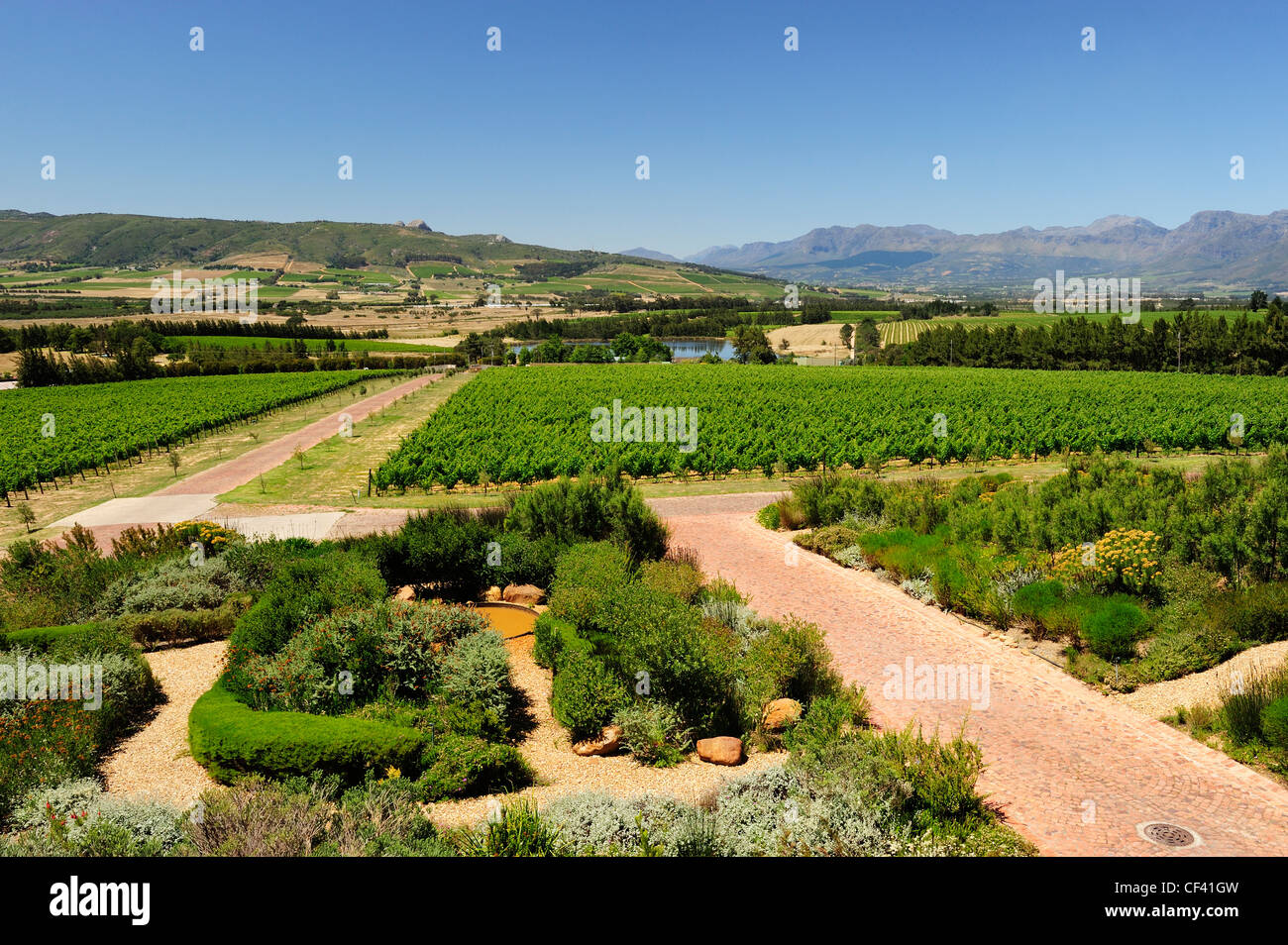 Glen Carlou Wine Estate, Stellenbosch, Western Cape, South Africa Stock ...