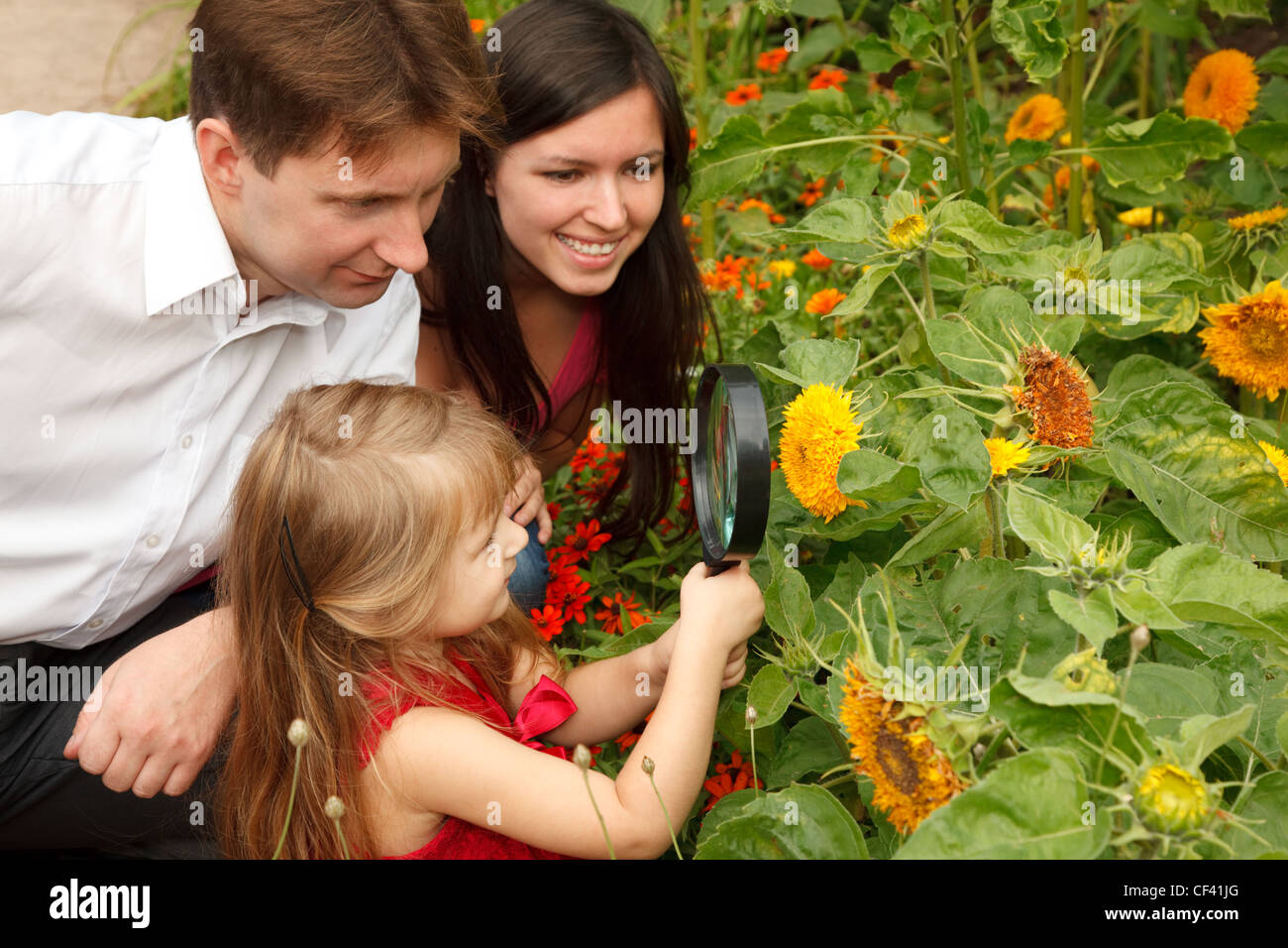 Little girl in red dress considers flower together with parents through ...