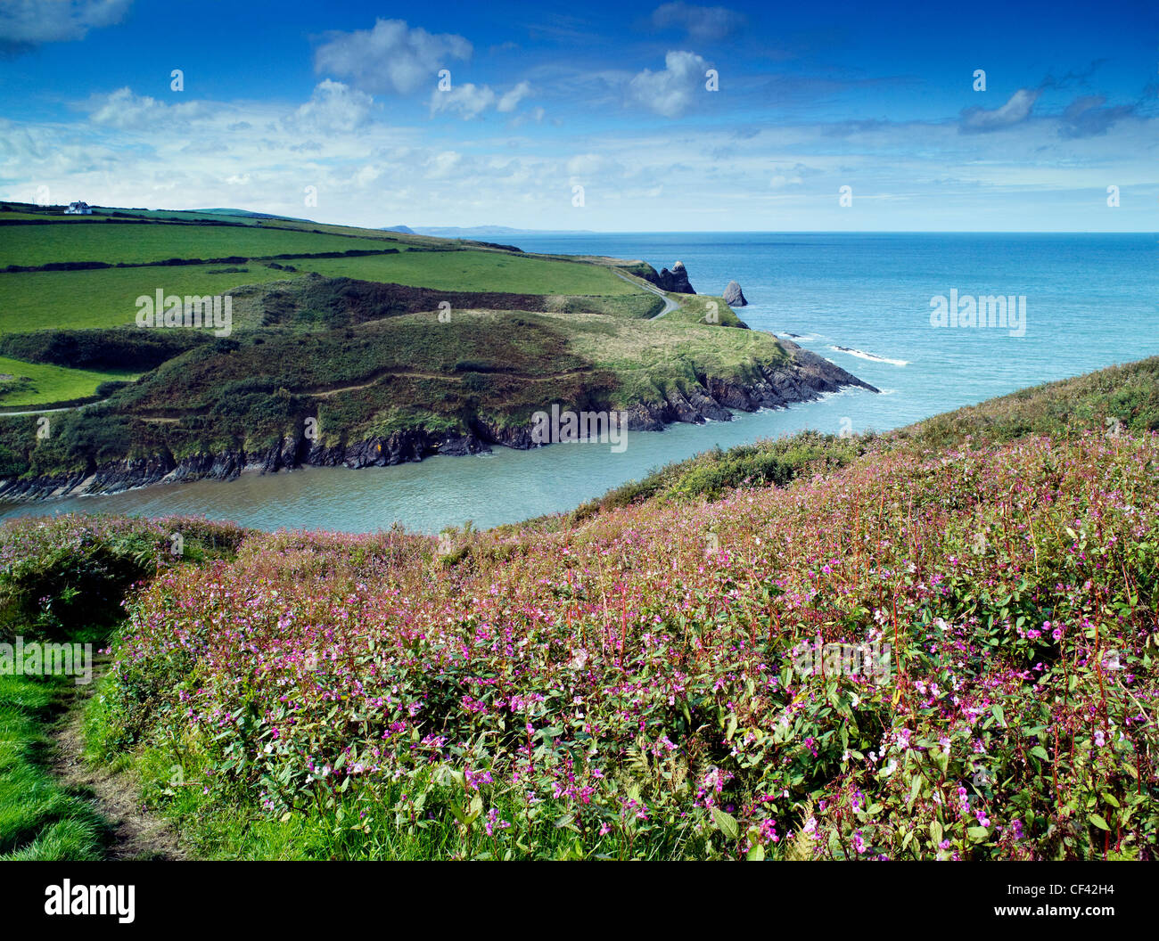 Irish seascapes hi-res stock photography and images - Alamy