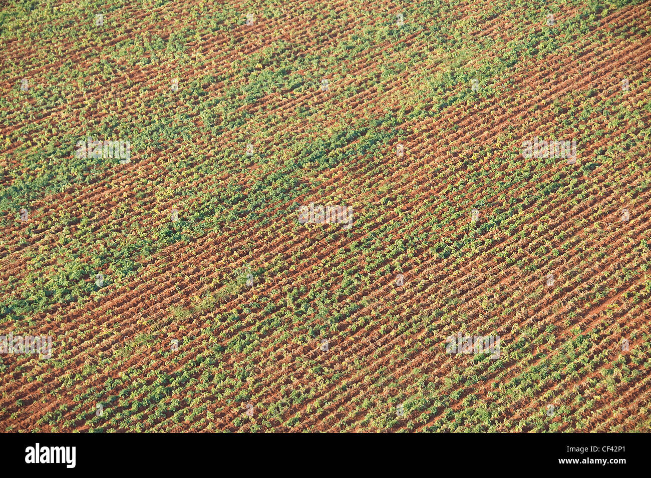 Stunning aerial images of Zimbabwe's diverse landscape Stock Photo - Alamy