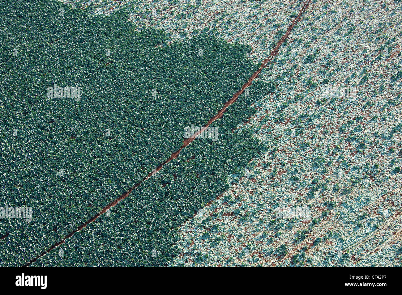 Stunning aerial images of Zimbabwe's diverse landscape Stock Photo - Alamy