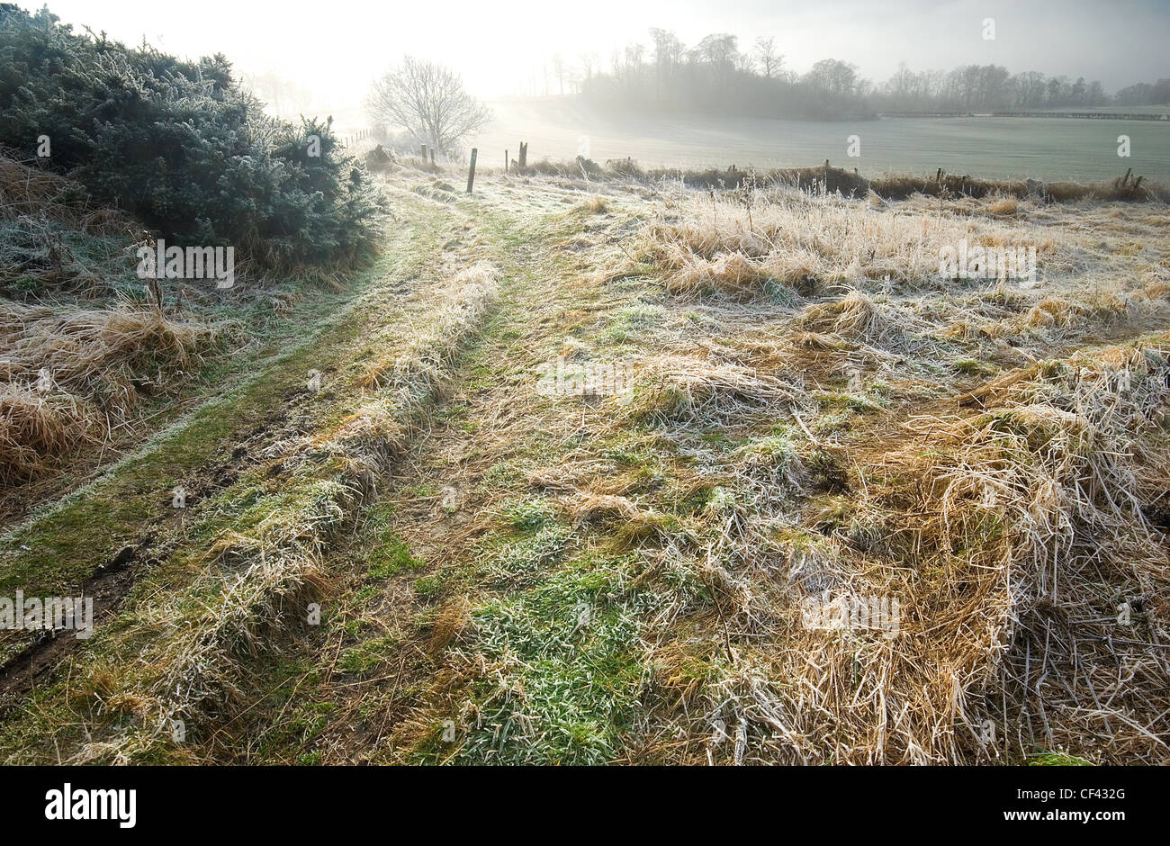 Mist on a winter morning Stock Photo - Alamy