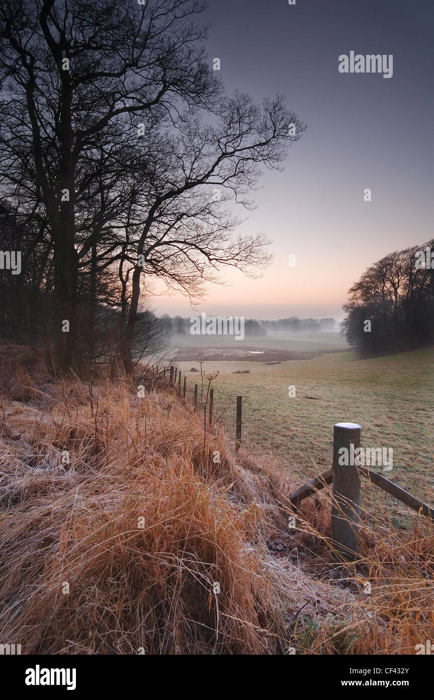Kevin winter hi-res stock photography and images - Alamy
