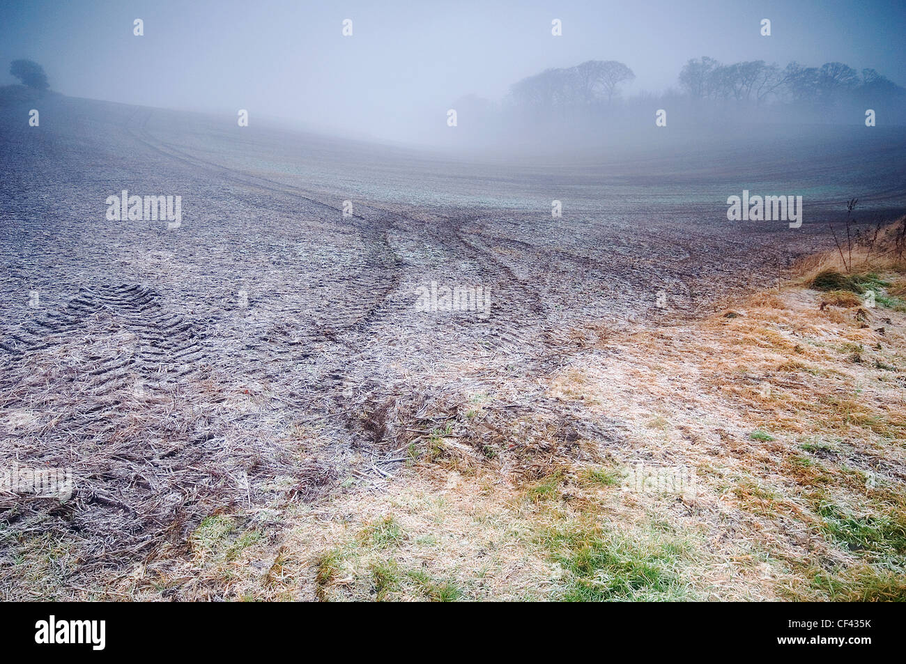Mist on a winter morning Stock Photo - Alamy