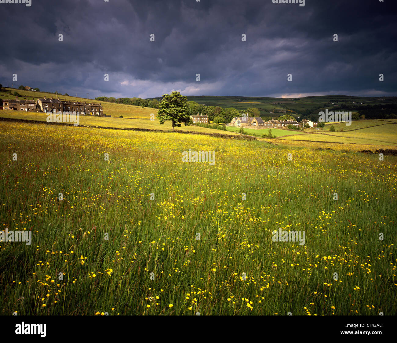 View across a hay meadow towards a village in the countryside ...