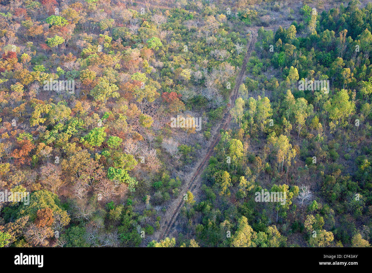 Aerial images of forestry from Zimbabwe Stock Photo - Alamy