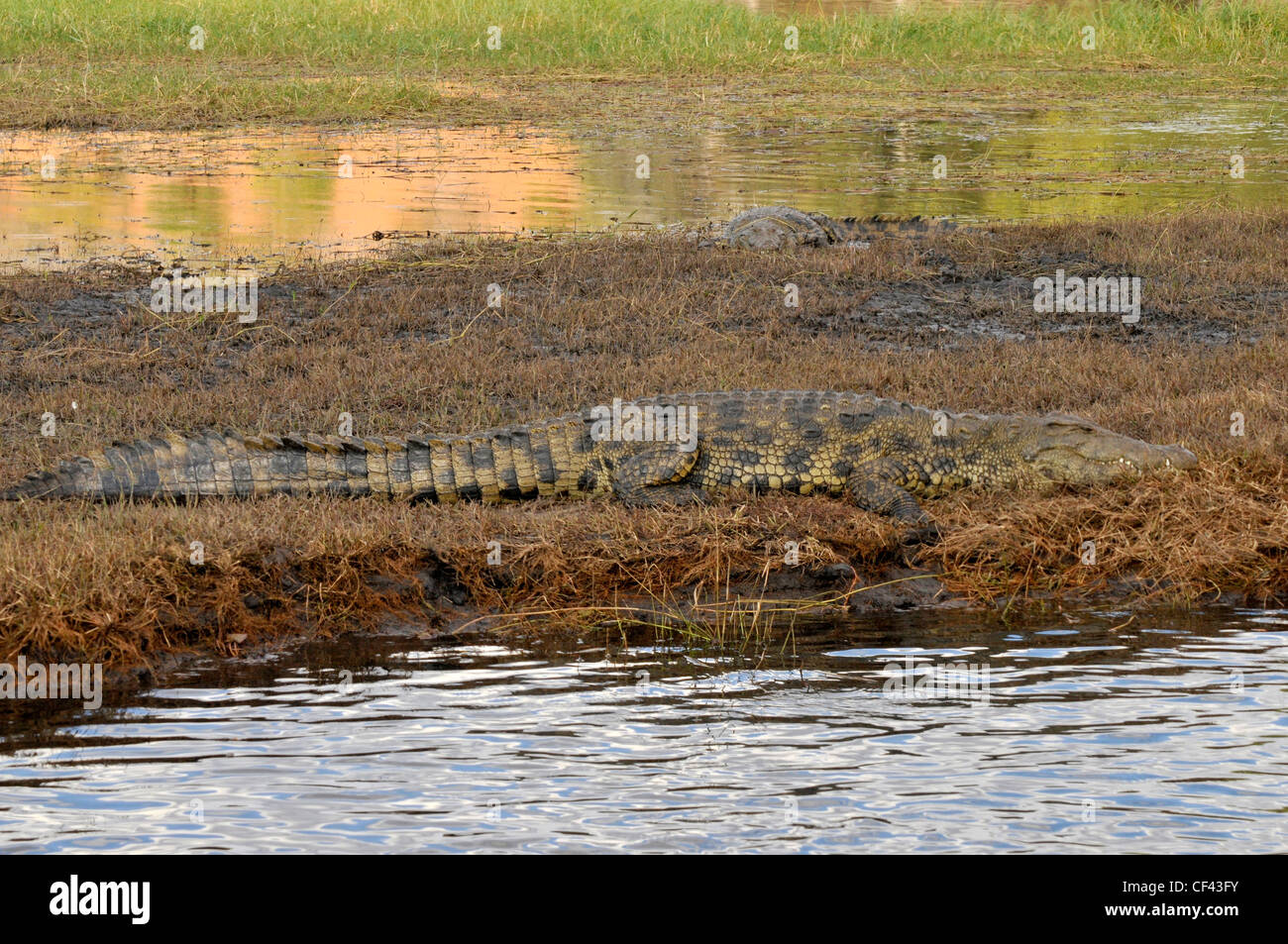 Kwai river lodge hi-res stock photography and images - Alamy