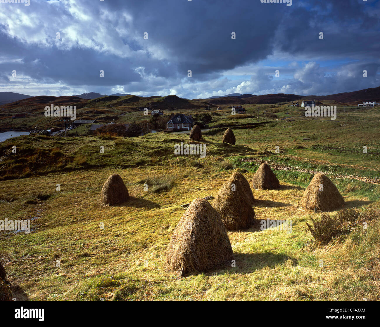 View over traditional hand built haystacks in a field towards the ...