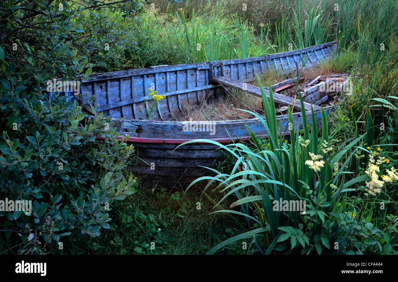 Old boat motor hi-res stock photography and images - Alamy