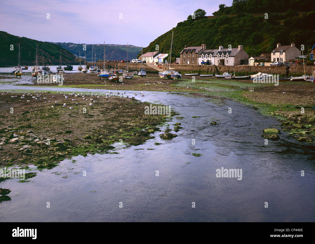 Fishguard harbour wall hi-res stock photography and images - Alamy