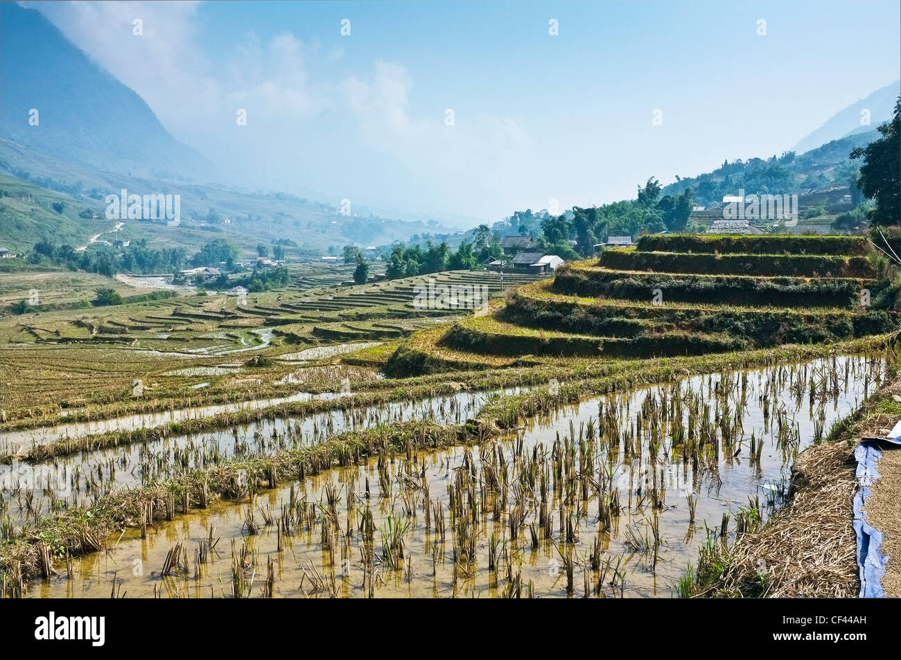Terraced rice paddy fields, Sapa, Vietnam Stock Photo - Alamy