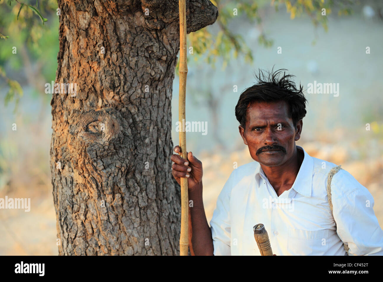 Indian shepherd hi-res stock photography and images - Alamy