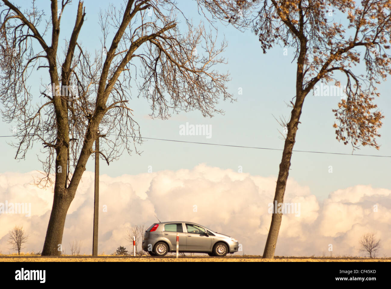 car on road between yellow and green trees with cloudy sky Stock Photo ...