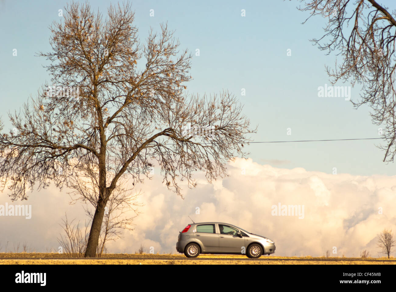 car on road between yellow and green trees with cloudy sky Stock Photo ...