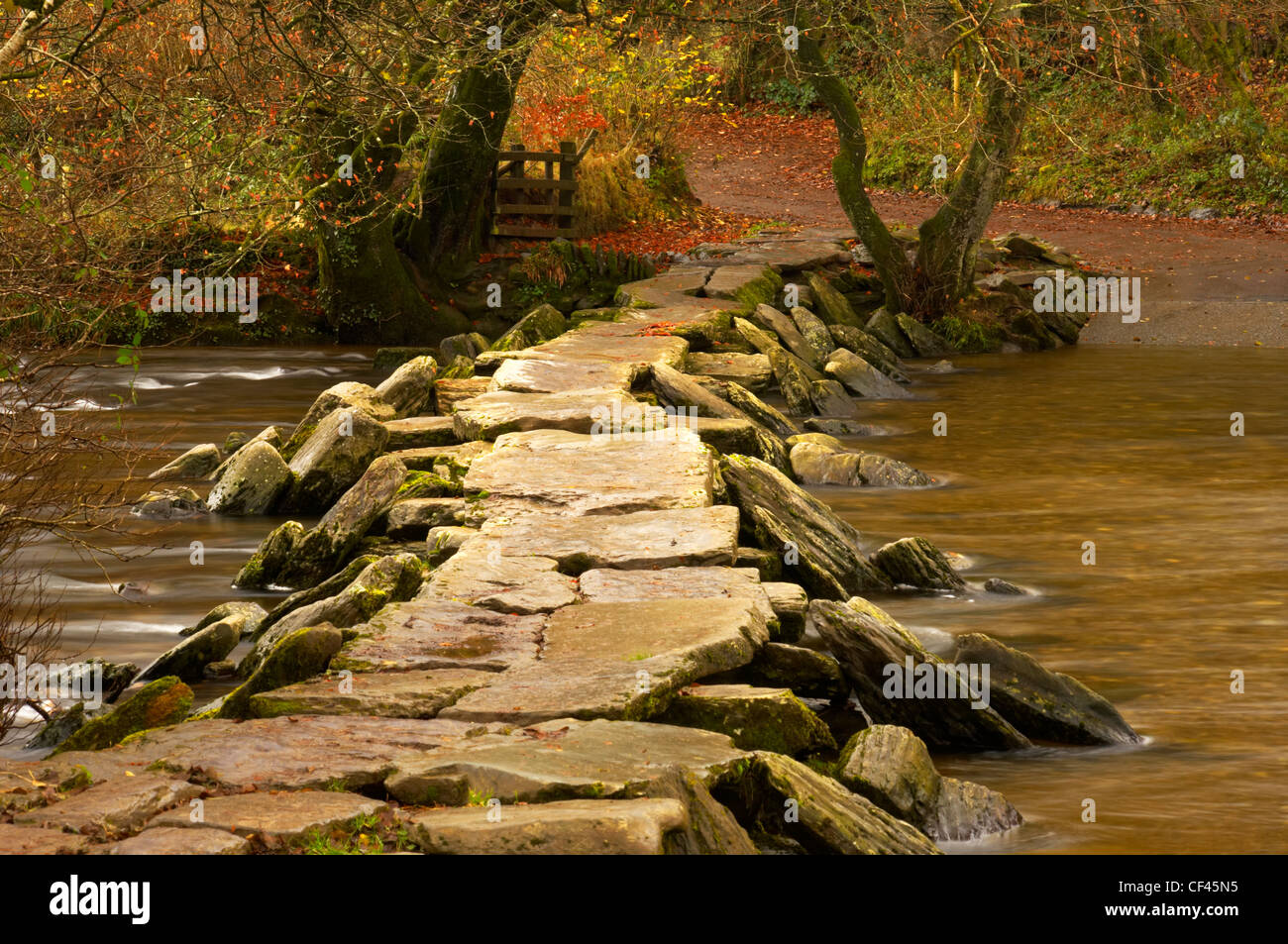 Tarr Steps Devon England High Resolution Stock Photography and Images ...