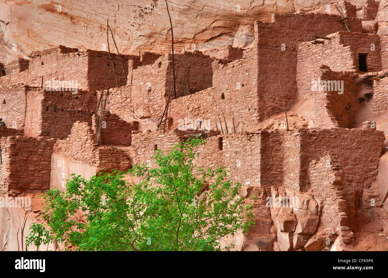 Betatakin ruin in Tsegi Canyon, Navajo National Monument, Shonto ...