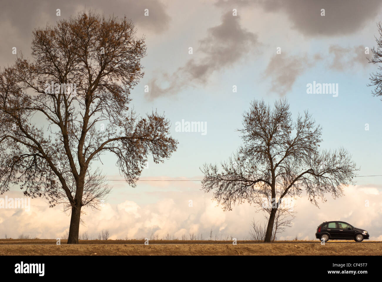 car on road between yellow and green trees with cloudy sky Stock Photo ...