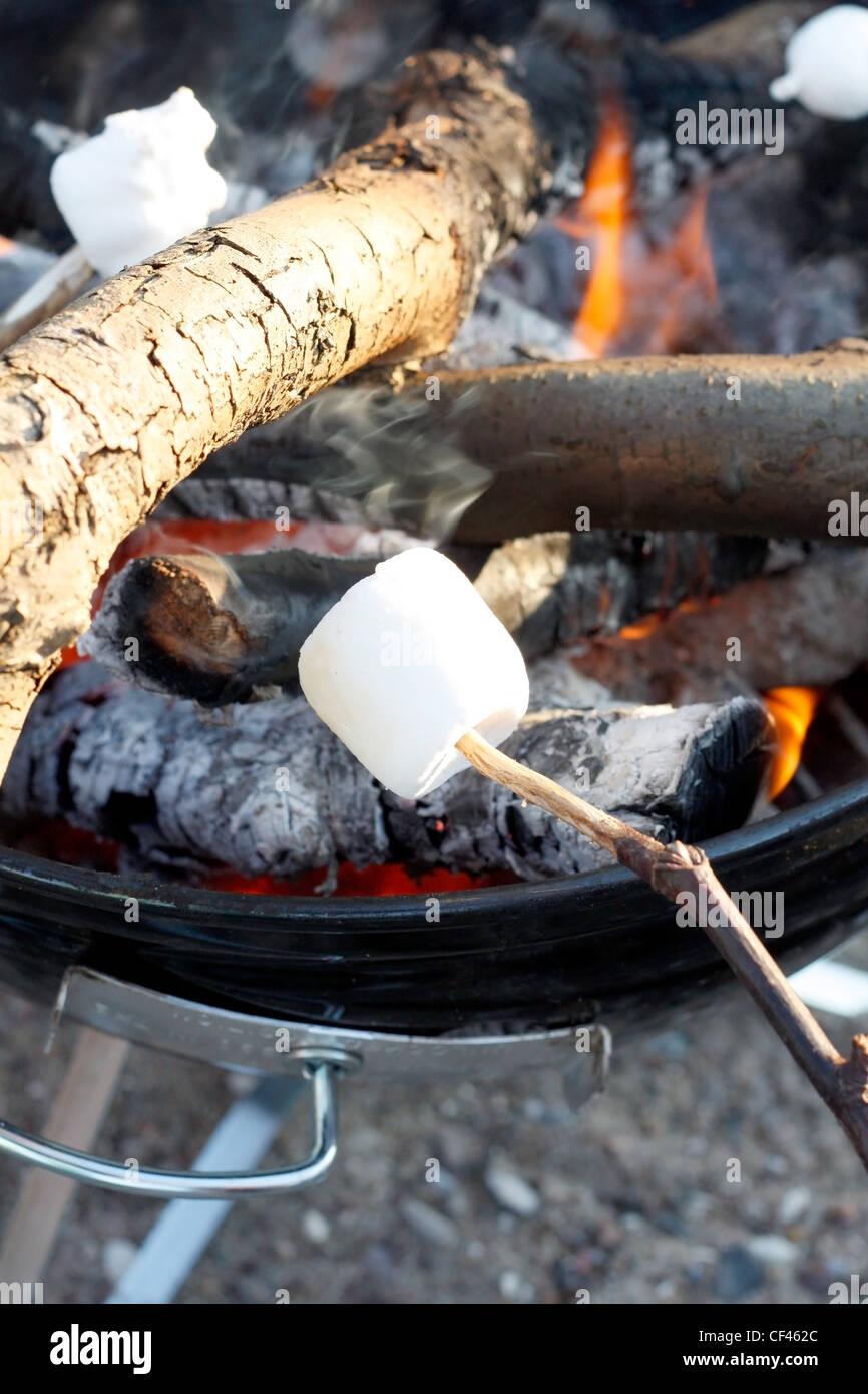 Marshmallow on the bbq Stock Photo - Alamy