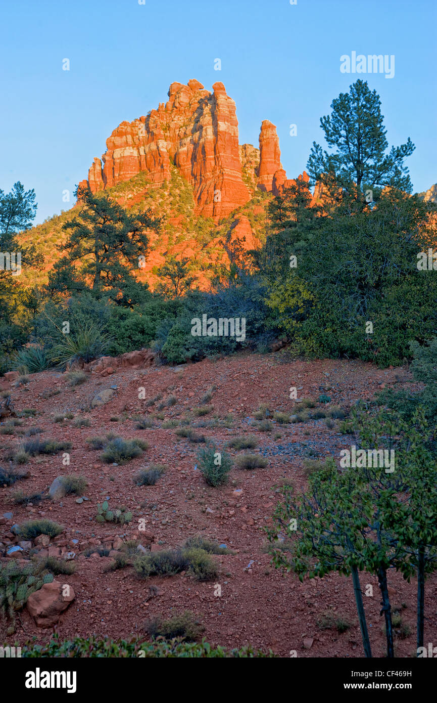 Outdoor arizona hi-res stock photography and images - Alamy