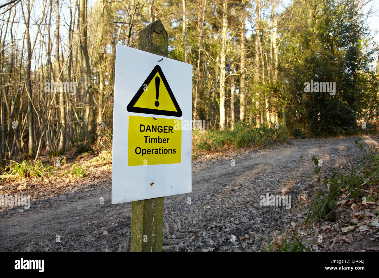 Warning signs in commercial forest Stock Photo - Alamy