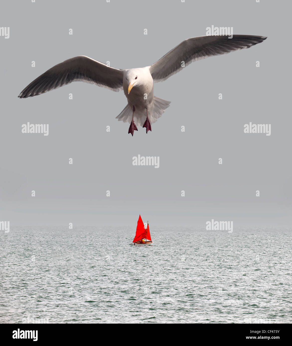 Red sail on the sea and seagull Stock Photo - Alamy
