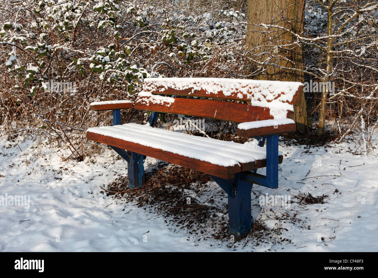 Snow covered bench seat in Milton park Stock Photo - Alamy