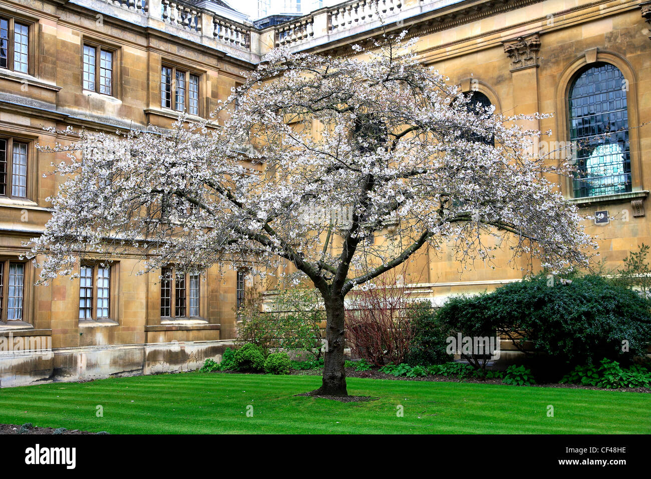 Cambridge university uni school hi-res stock photography and images - Alamy