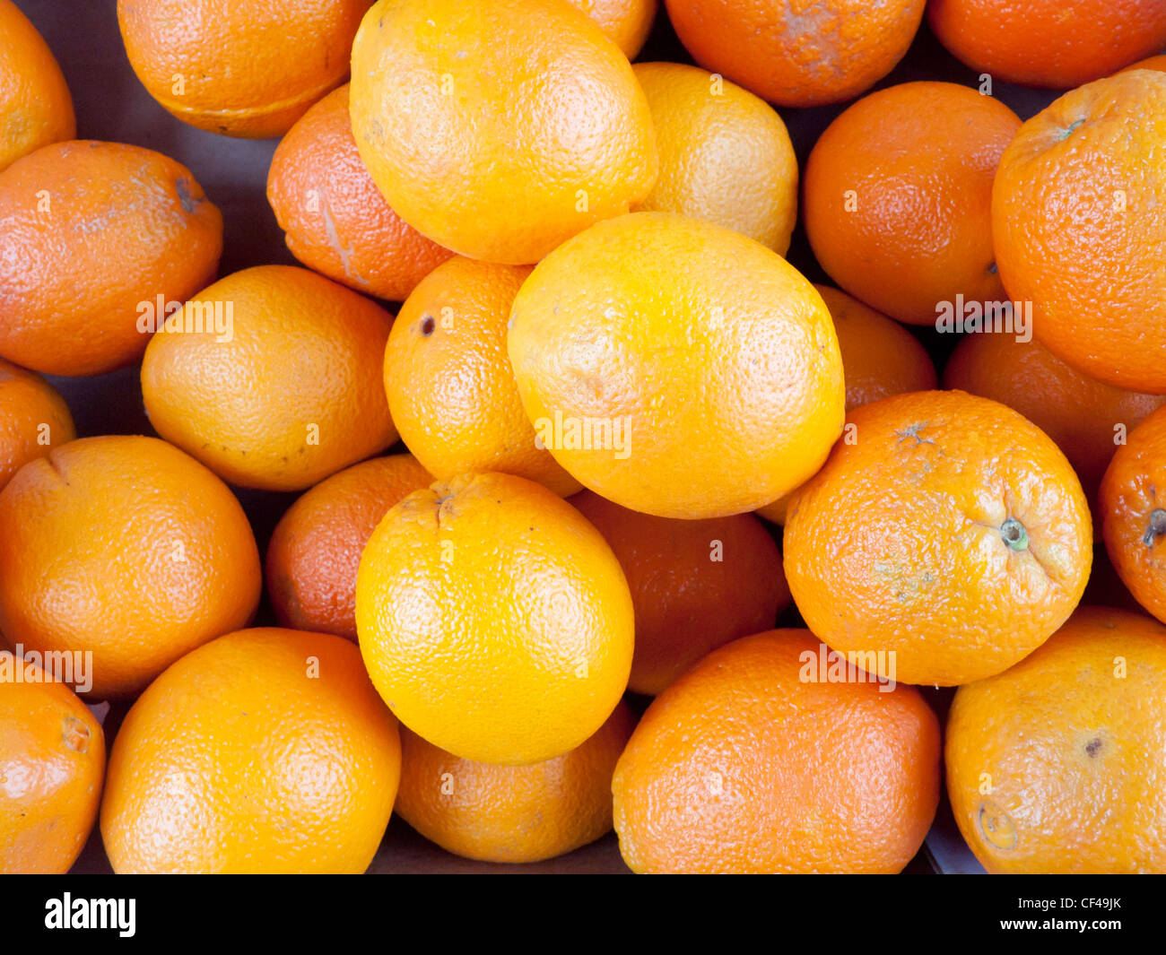 Mandarins Or Navel Oranges at Stephanie Post blog