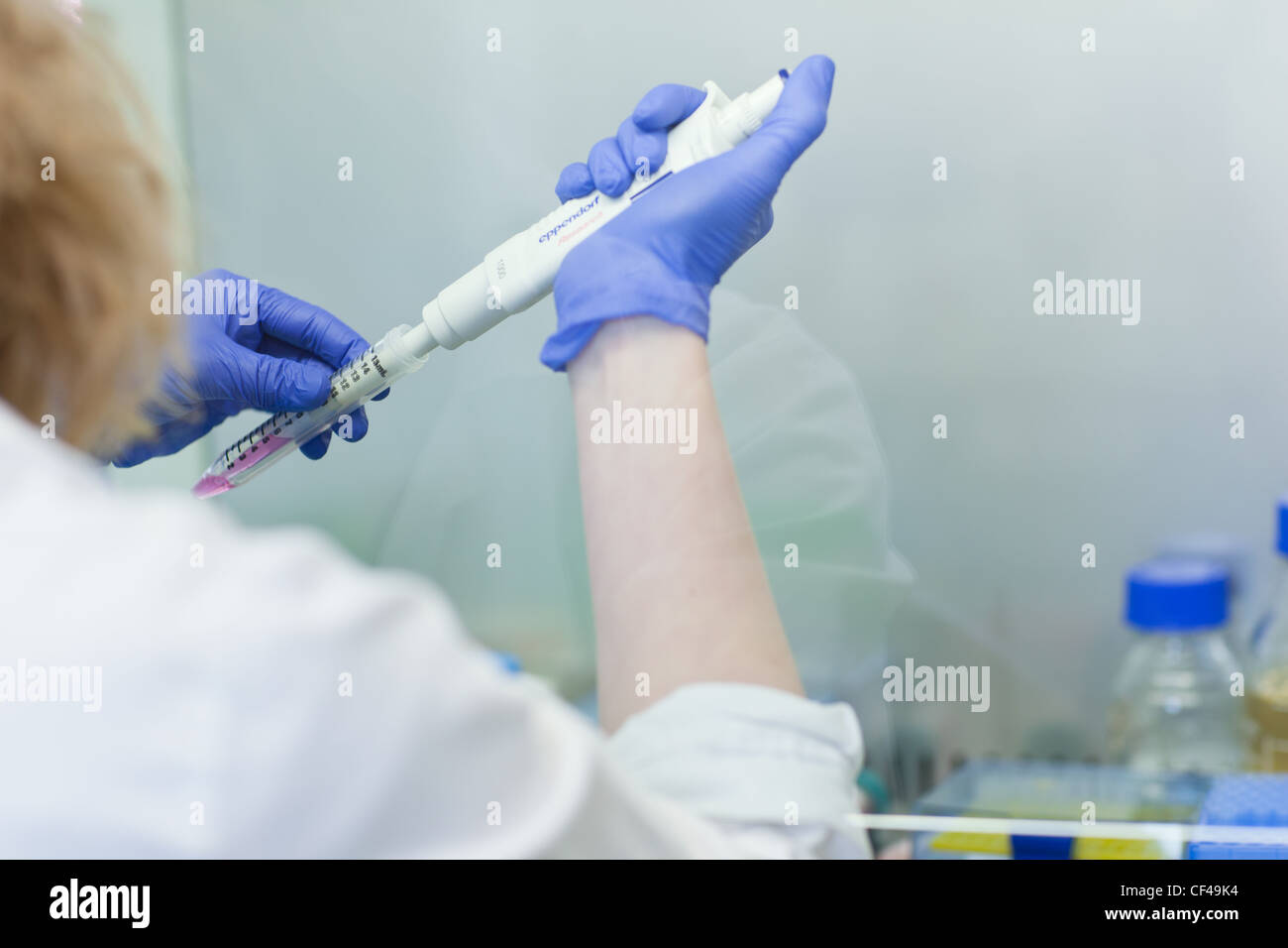 portrait of a female researcher doing research in a lab (shallow DOF ...
