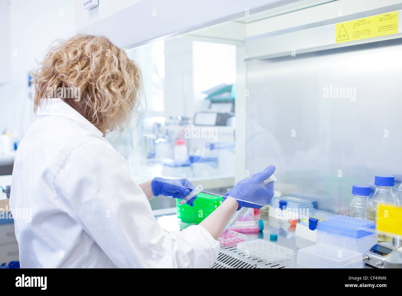 portrait of a female researcher doing research in a lab (shallow DOF ...