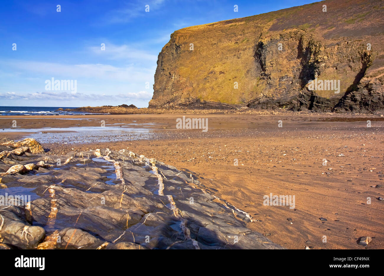 Pencarrow Point from Crackington Haven beach Stock Photo - Alamy