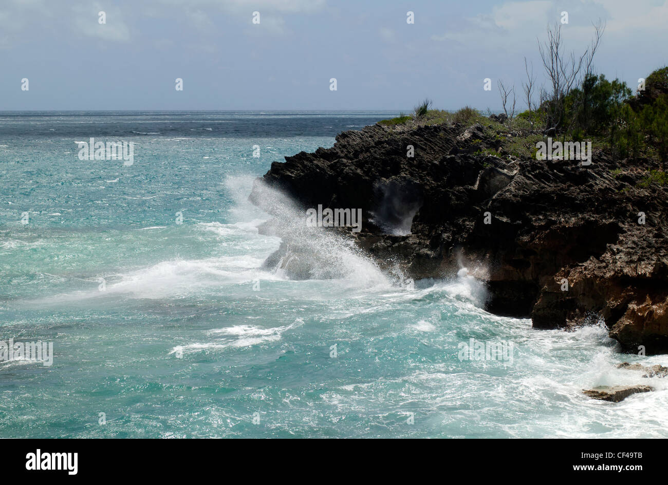 Coastal section of Spittal Pond Nature Reserve, Smith's Parish, Bermuda ...