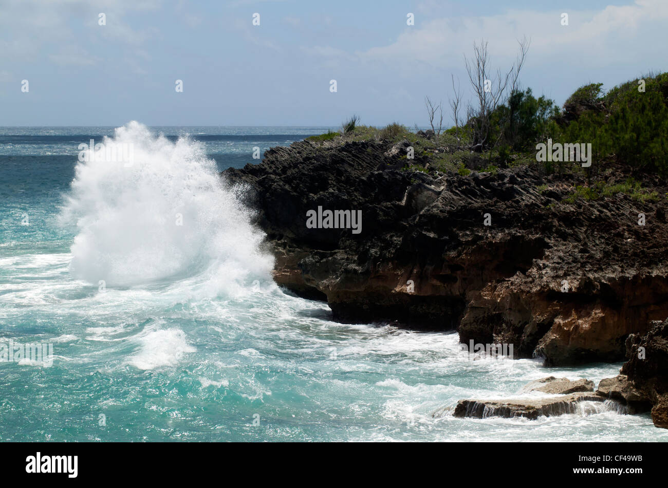 Coastal section of Spittal Pond Nature Reserve, Smith's Parish, Bermuda ...