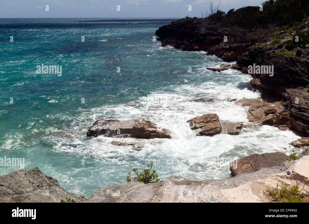 Coastal section of Spittal Pond Nature Reserve, Smith's Parish, Bermuda ...