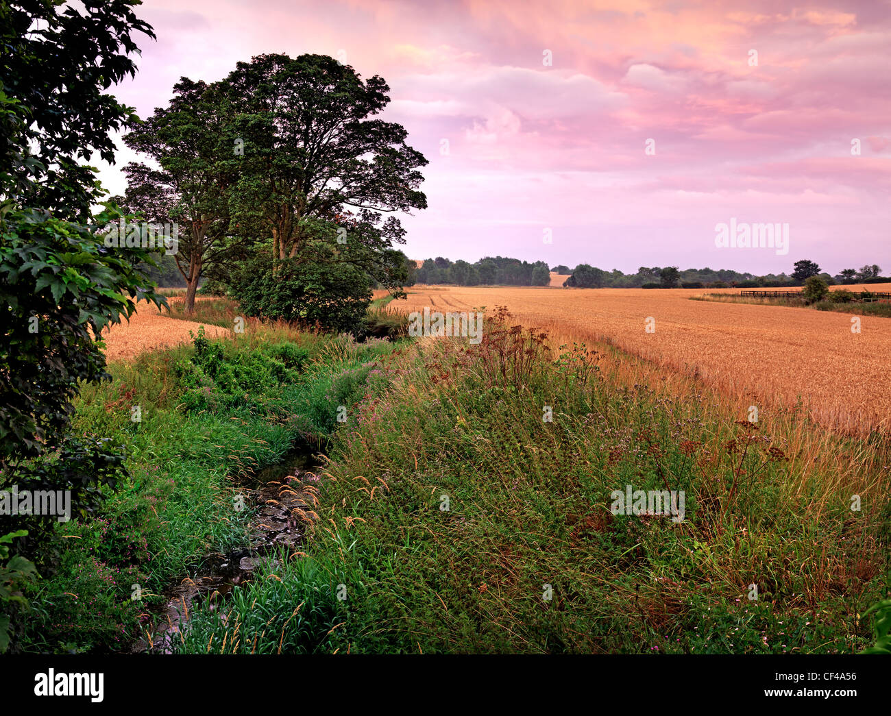 English countryside hi-res stock photography and images - Alamy