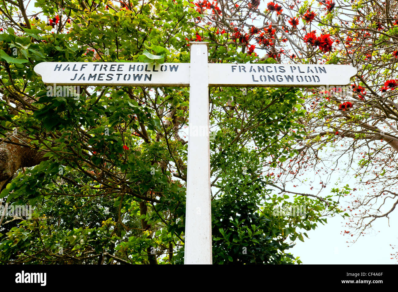 Signpost St Helena Island in the South Atlantic Ocean Stock Photo - Alamy