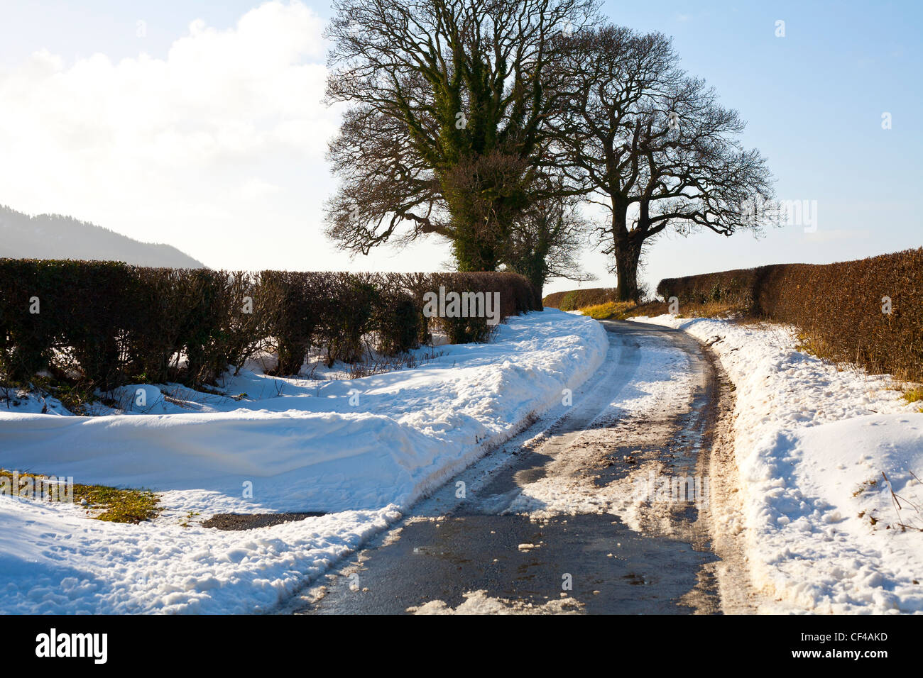 Country lane in winter Stock Photo - Alamy