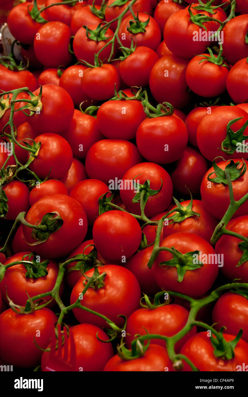 Vine tomatoes. La Boqueria market.Barcelona. Catalonia .Spain Stock ...