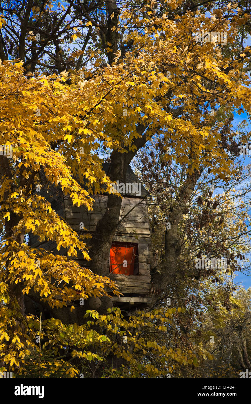A wooden house in a tree, Christiana district in Copenhagen, Denmark ...