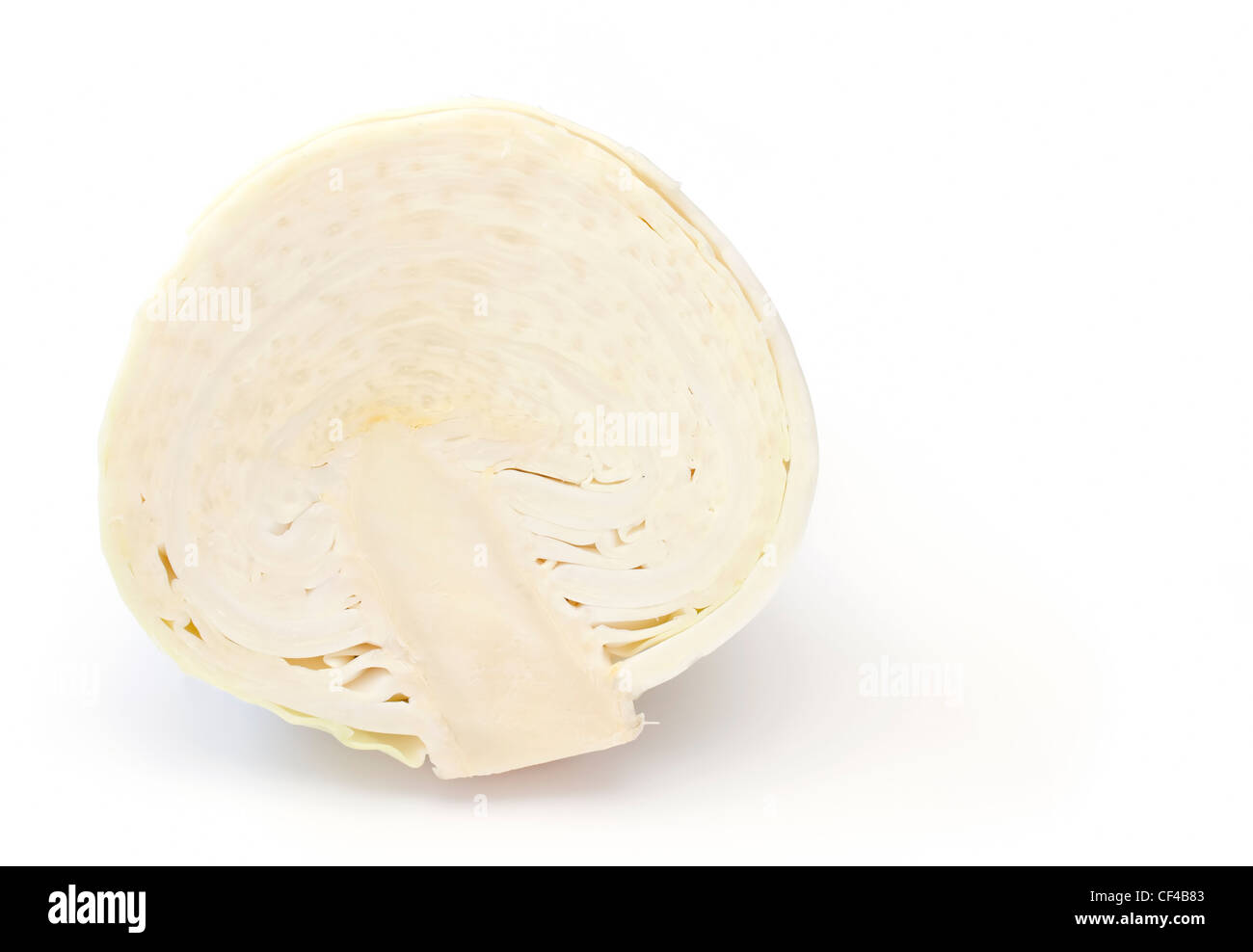 Half of a white cabbage on white Stock Photo - Alamy