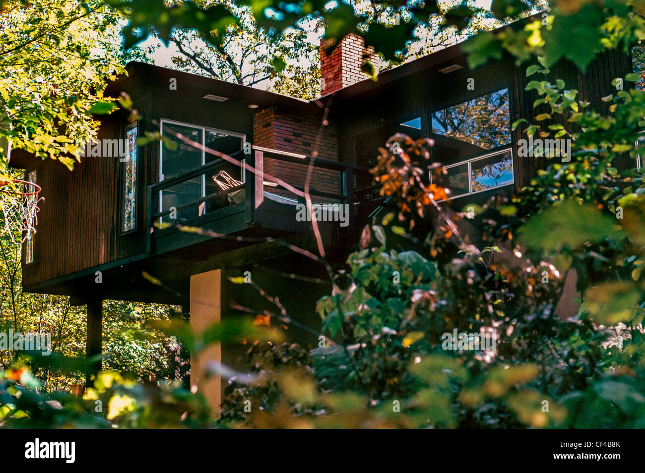 American house hidden by trees hi-res stock photography and images - Alamy