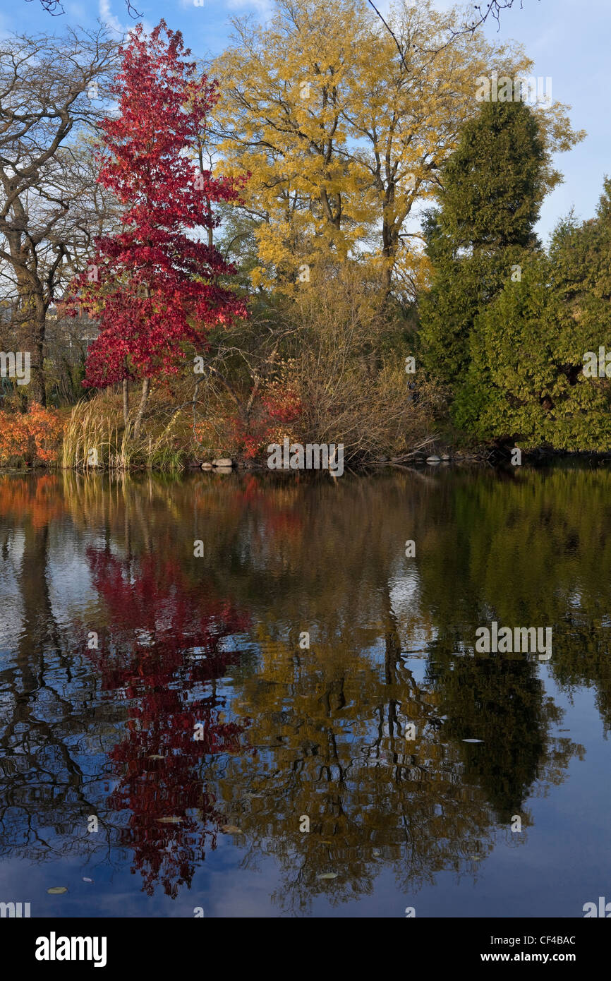 Colored trees in autumn. Christiana district in Copenhagen, Denmark ...