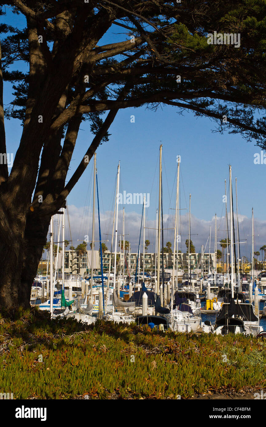 A view of the Channel islands harbor in Oxnard California with many ...