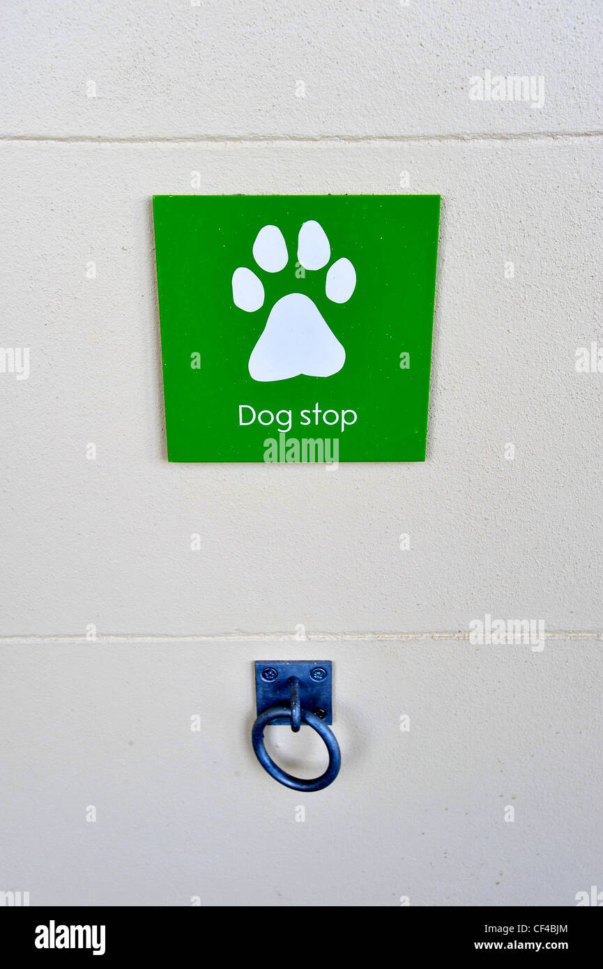 Dog ring outside supermarket Stock Photo - Alamy