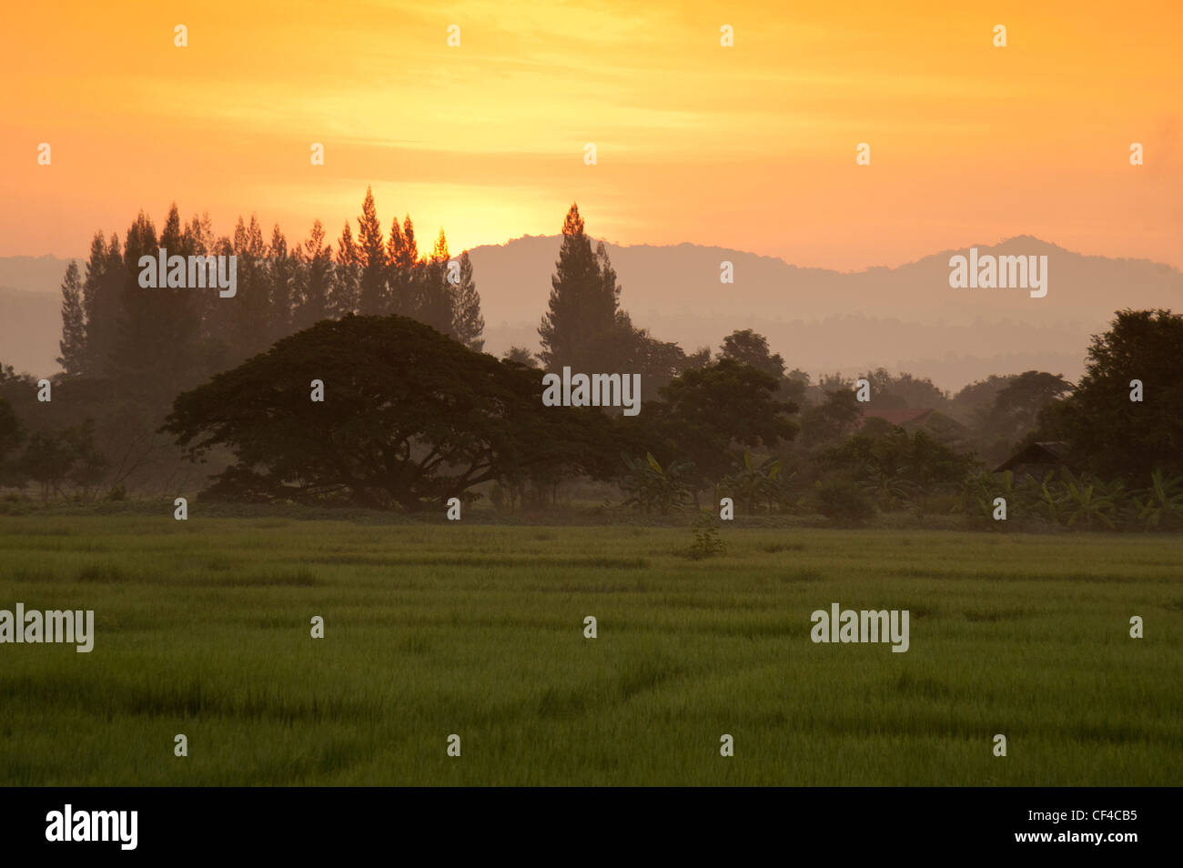 Elk208-2079 Thailand, Mae Sot, landscape towards Burmese border at ...