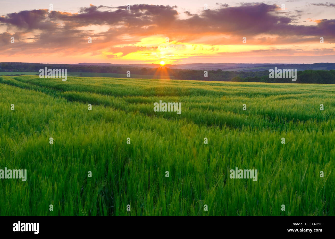 Sunset and fields hi-res stock photography and images - Alamy